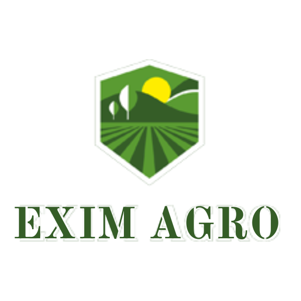 Search - Uzasiaexport platform - B2B e-commerce platform